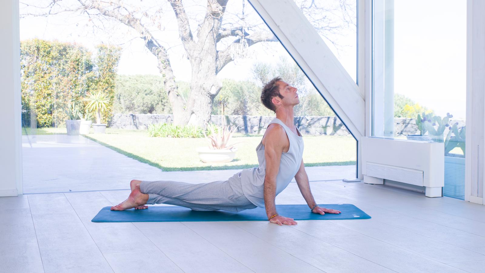 Corso Vayus Flow: Rolling Snake | Enzo Ventimiglia | Mat You Can